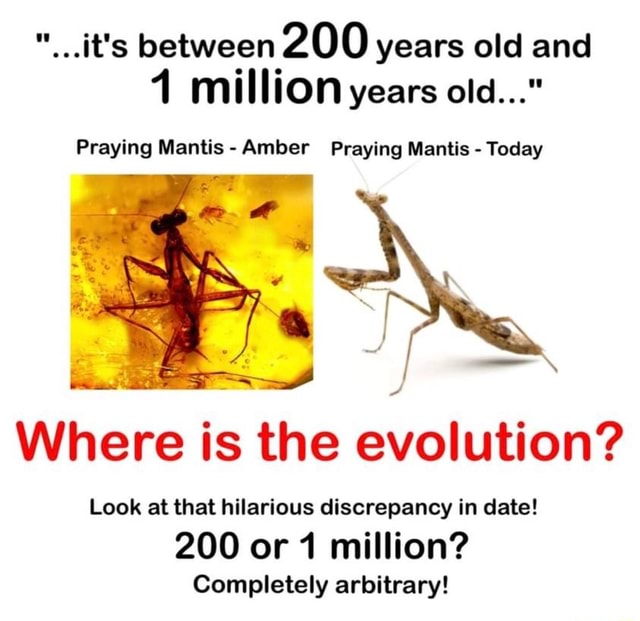 " _it's between 200 years old and 1 million years old..." Praying ...