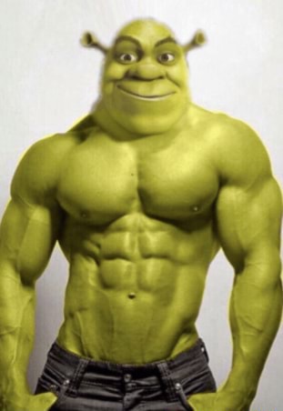 The Chris Hemsworth of Shreks - iFunny