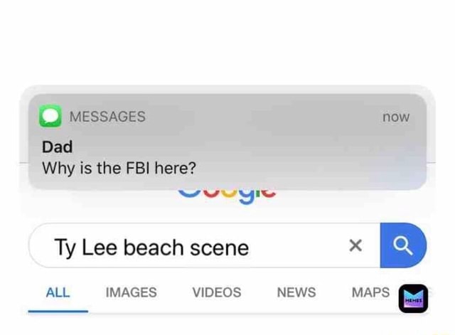 Ty Lee beach scene x - iFunny