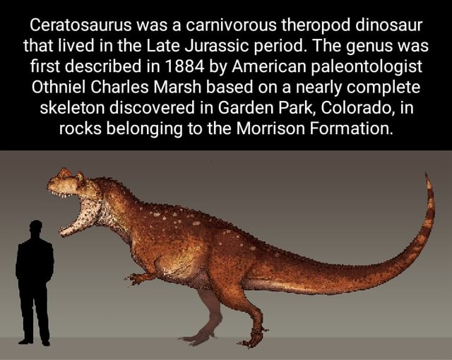 Ceratosaurus was carnivorous theropod dinosaur that lived in the Late Jurassic period. The genus ...