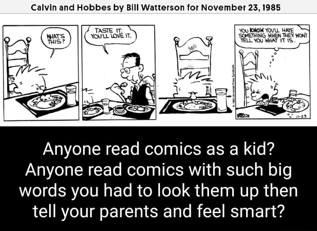Calvin and Hobbes by Bill Watterson for November 23, 1985 TASTE You ...
