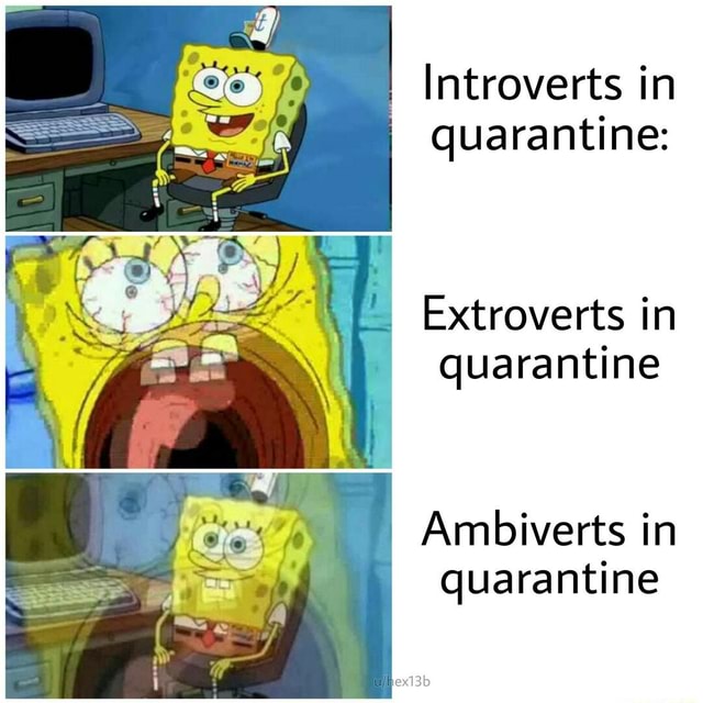 Introverts in quarantine: Extroverts in quarantine Ambiverts in ...