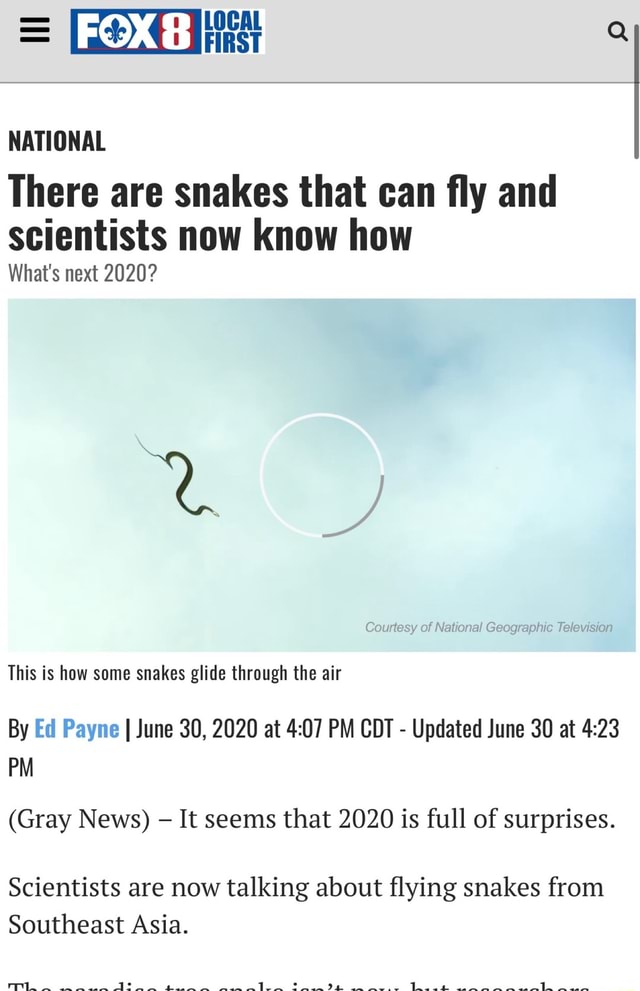 NATIONAL There are snakes that can fly and scientists now know how What ...