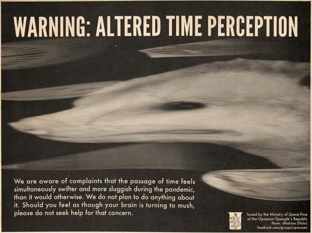 Brain definitely turning to mush. Halp. - WARNING: ALTERED TIME ...