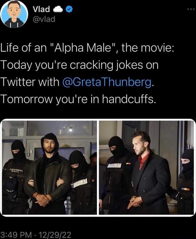 Viad @ @vlad Life of an "Alpha Male", the movie: Today you're cracking ...