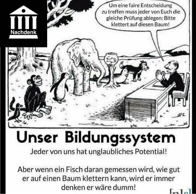 Um Eine Faire Entscheidung Zu Treffen Muss Jeder Von Euch Die Gleiche Um Eine Faire Entscheidung Zu Treffen Muss Jeder Von Euch Die Gleiche