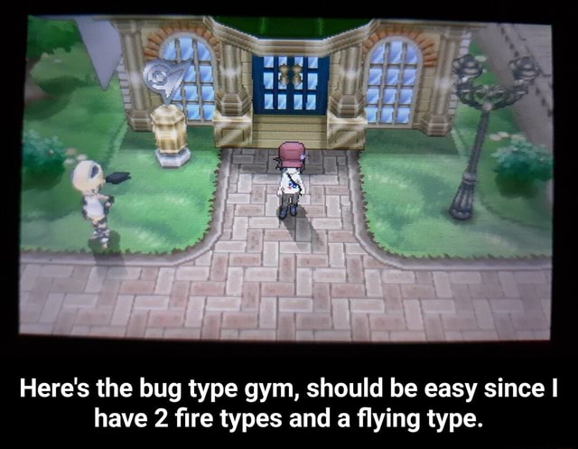 Here's the bug type gym, should be easy since have 2 fire types and a ...