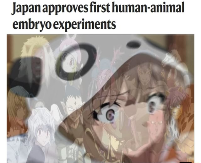 Japan approves first human-animal embryo experiments - iFunny