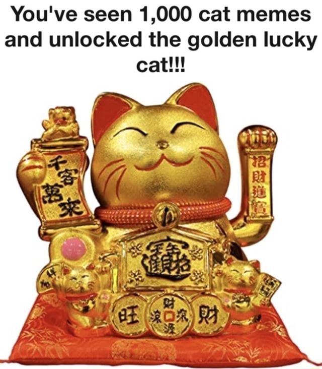 You've seen 1,000 cat memes and unlocked the golden lucky cat!!! - iFunny