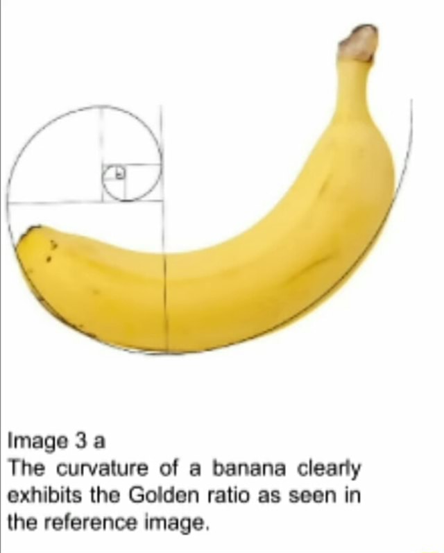 Image The curvature of a banana clearly exhibits the Golden ratio as ...