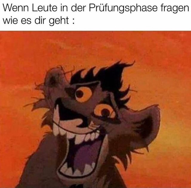 Die besten Memes für dich! #meme #memes #deutschememes #memesdeutsch # ...