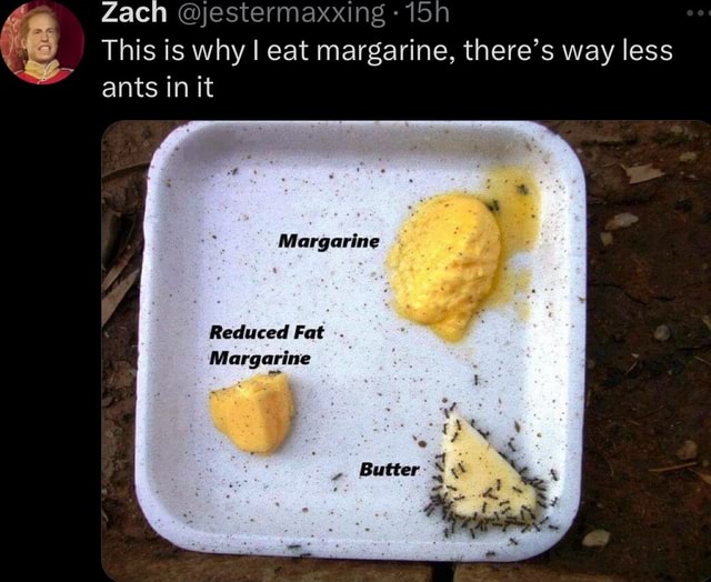 Zach @jestermaxxing This is why I eat margarine, there's way less ants ...
