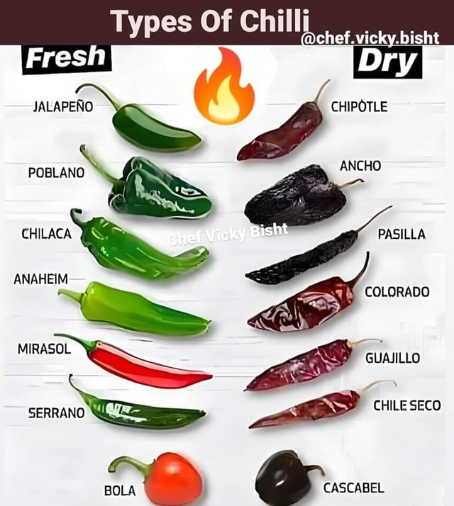 Types Of Chi JALAPENO CHIPOTLE ANCHO CHILACA PASILLA POBLANO ANAHEIM ...