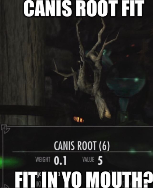 CANIS ROOT FIT "We CANIS ROOT (6) 0.1 FITIN YO MOUTH? - iFunny