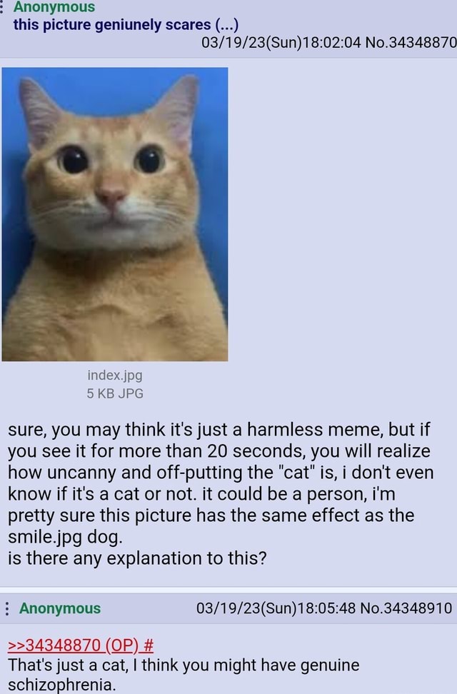 Anonymous this picture geniunely scares No.34348870 index.jpg 5 KB JPG ...