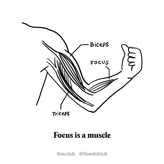 Biceps FOCUS Triceps Focus is a muscle flow.club @flowdotclub - America ...