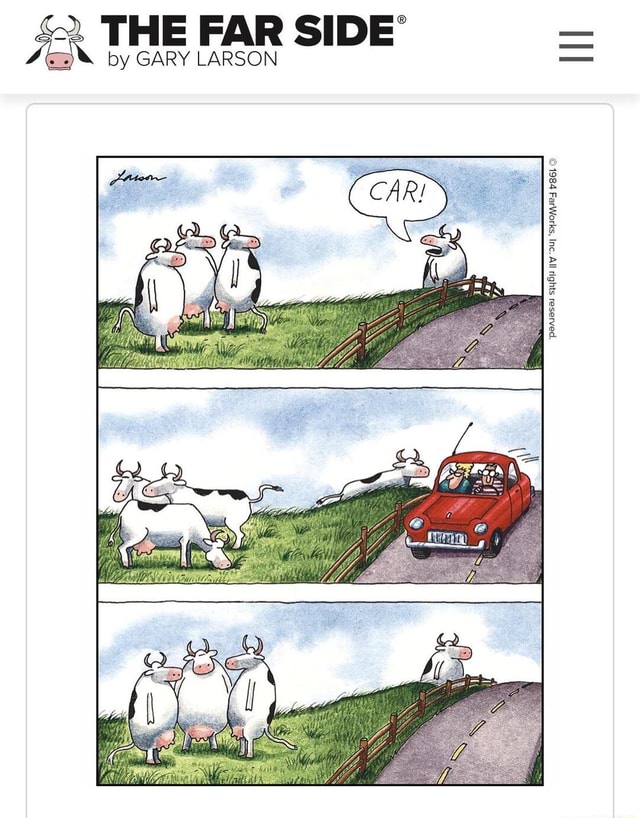 Car! - THE FAR SIDE' by GARY LARSON "paniasal SyyBu 'DU] 'SOME PBEL O ...