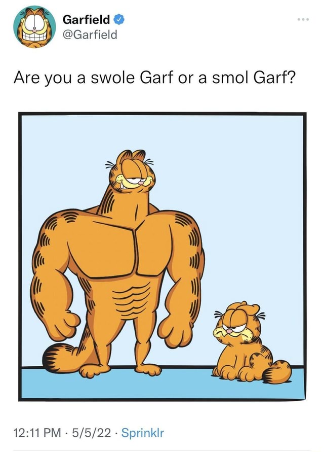 Garfield @Garfield Are you a swole Garf or a smol Garf? PM - - Sprinklr ...