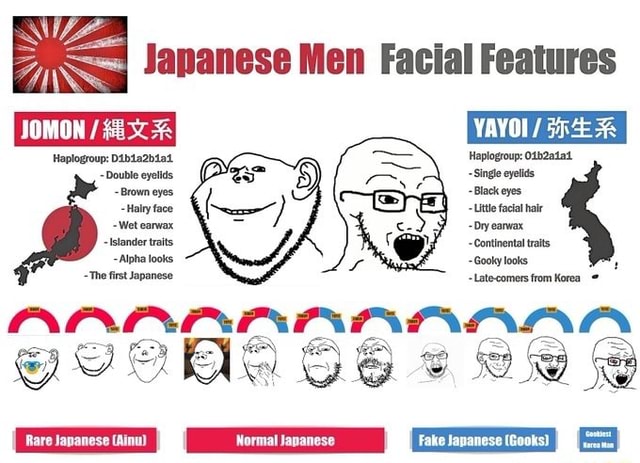 Japanese Men Facial Features Haplogroup: Dibta2biat. Haplogroup ...