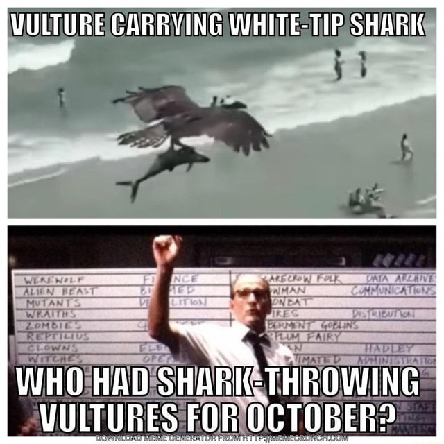 VULTURE CARRYING WHITE-TIP SHARK WHO HAD SHARK-THROWING VULTURES FOR ...