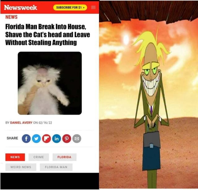 Newsweek NEWS Florida Man Break Into House, Shave the Cat's head and ...