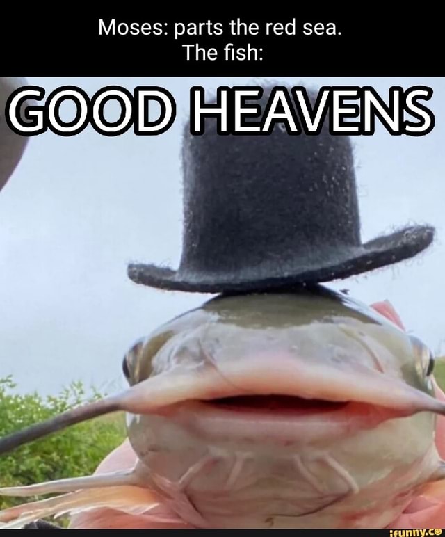Moses: parts the red sea. The fish: GOOD HEAVENS - iFunny
