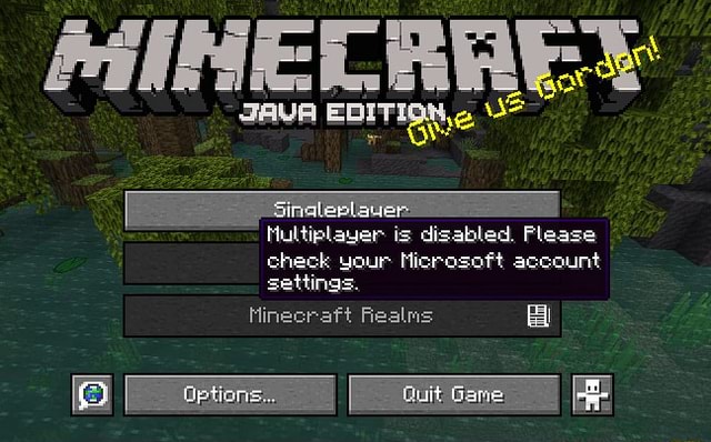 Singleplayer Multiplayer is disabled. Please check your Microsoft ...