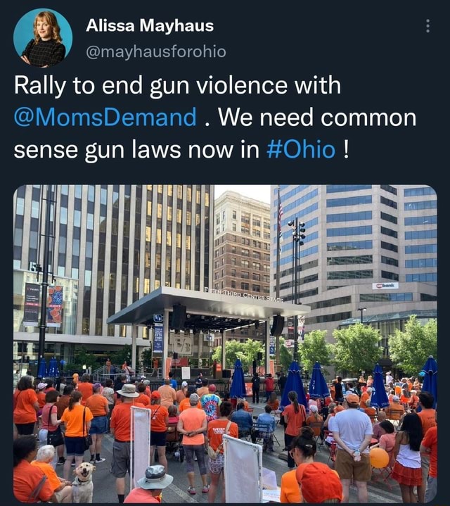 Alissa Mayhaus @mayhausforohio Rally to end gun violence with ...