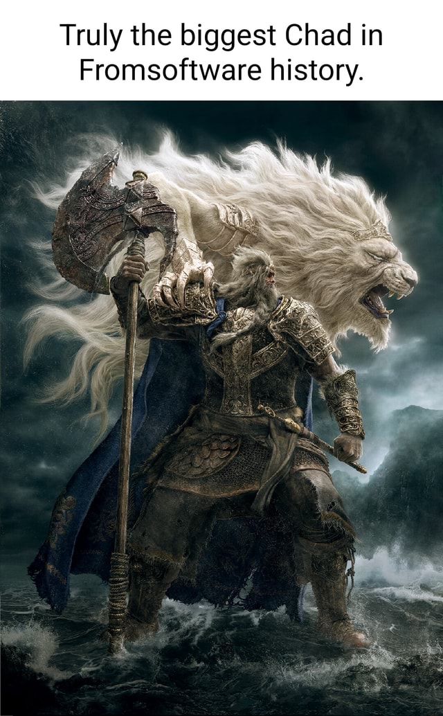 Truly the biggest Chad in Fromsoftware history. - iFunny