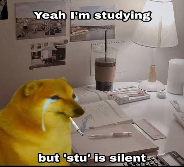 Yeah I'm studying but 'stu' is silent - iFunny