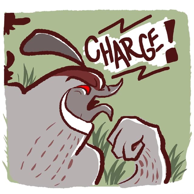 Mini Quail Comic - iFunny