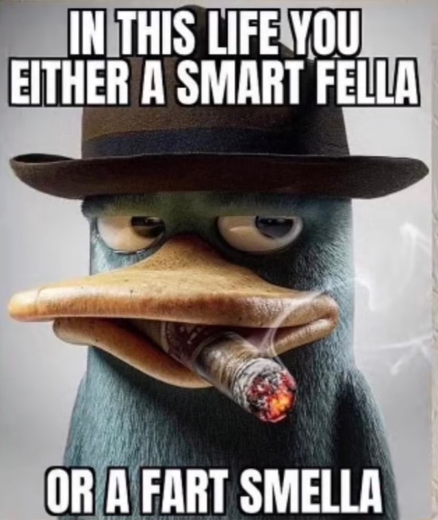 IN THIS LIFE YOU EITHER A SMART FELLA OR A FART SMELLA - iFunny