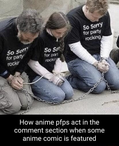 How anime pfps act in the comment section when some anime comic is ...