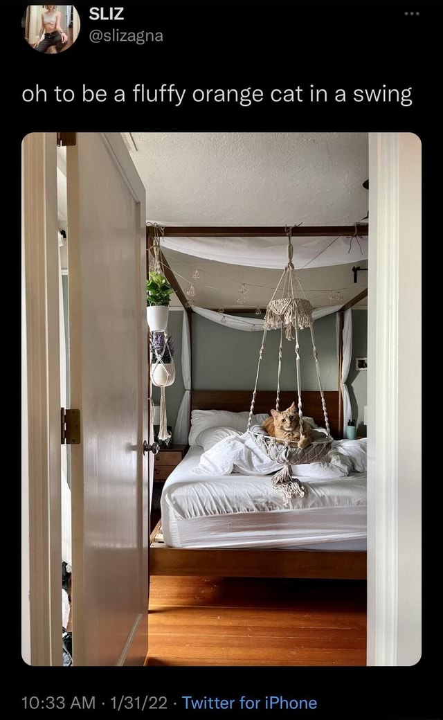 Funny Random Meme and Twitter Dump - I SLIZ (Os are) oh to be a fluffy ...