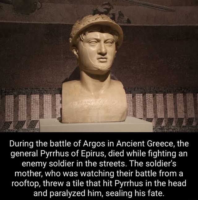 During the battle of Argos in Ancient Greece, the general Pyrrhus of ...