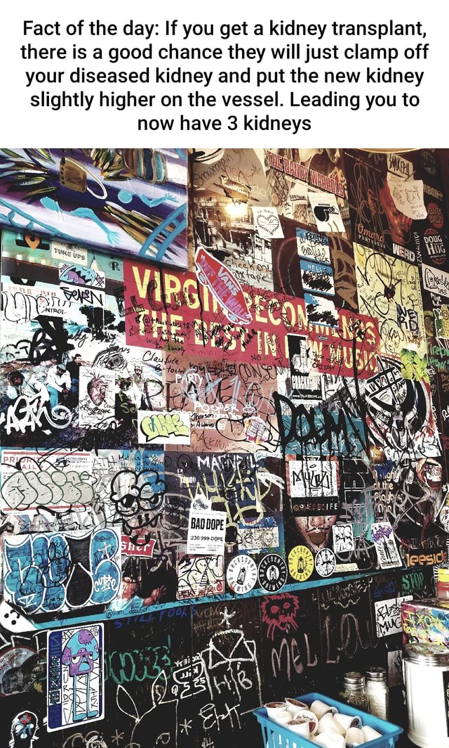 Fact of the day: If you get a kidney transplant, there is a good chance ...