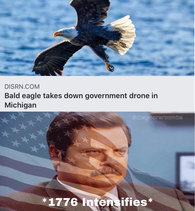 Bald eagle takes down government drone in Michigan *1776 Intensifies ...