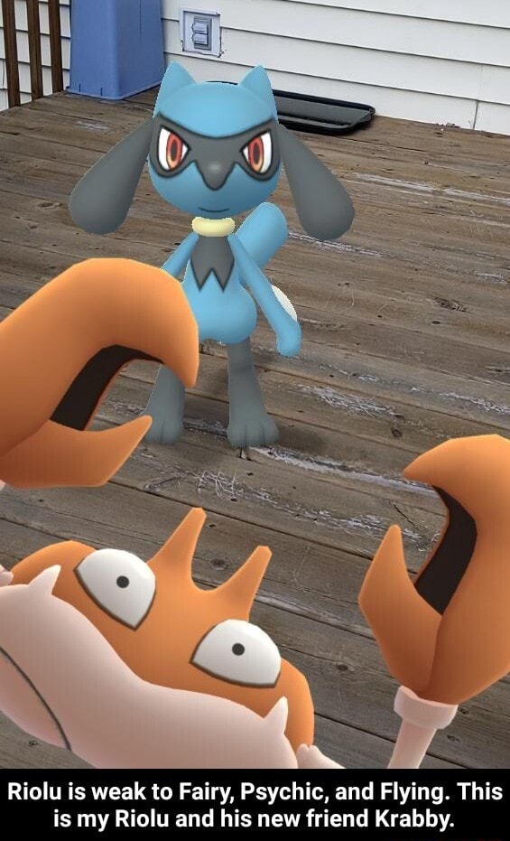 Riolu is weak to Fairy, Psychic, and Flying. This is my Riolu and his ...