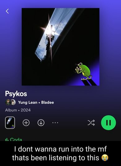 Psykos Yung Lean Bladee 'Album 2024 Cada I dont wanna run into the mf ...