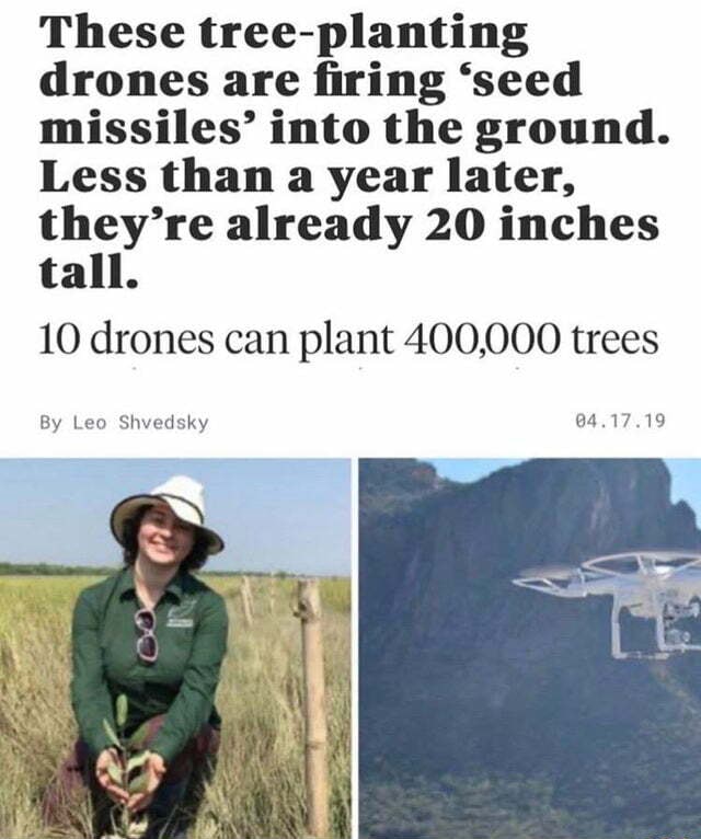 These tree-planting drones are firing 'seed missiles' into the ground ...