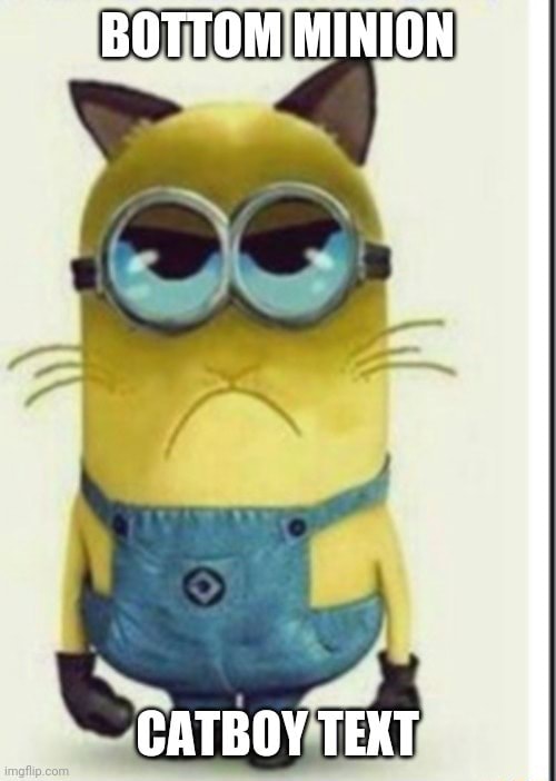 BOTTOM MINION CATBOY TEXT - iFunny