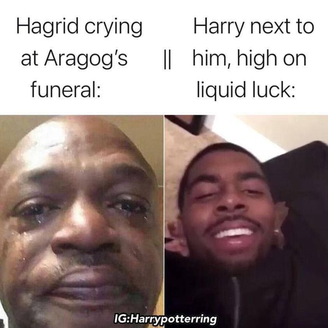 Harrypotter hogwarts potterhead ronweasley quidditch ravenclaw ...