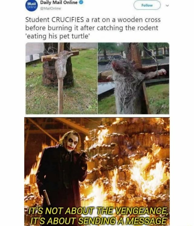 Daily Mail Online Student CRUCIFIES rat on a wooden cross before ...