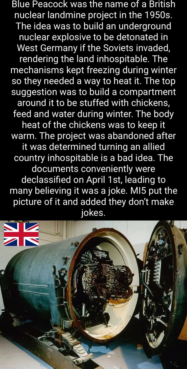 Blue Peacock was the name of a British nuclear landmine project in the ...
