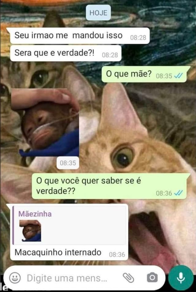 HOJE I Seu irmao me mandou isso I I Sera que e verdade?! que mãe? O que ...