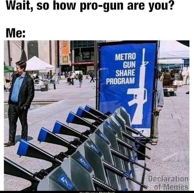 Wait, so how pro-gun are you? "Declaration of Memes - America’s best ...