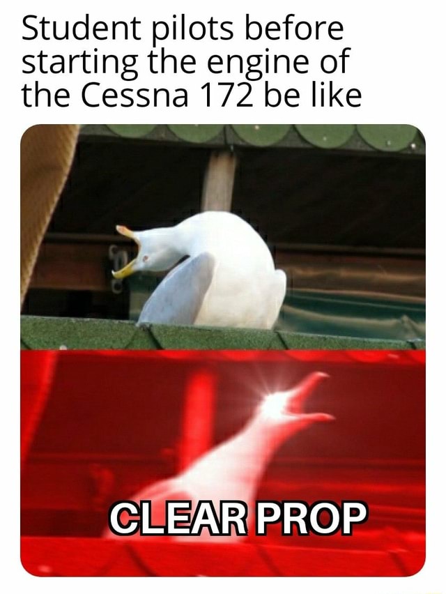 Student pilots before starting the engine of the Cessna 172 be like ...