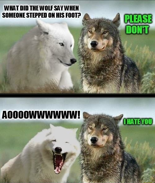 WHAT DID THE WOLF SAY WHEN 'SOMEONE STEPPED ON HIS FOOT? - iFunny