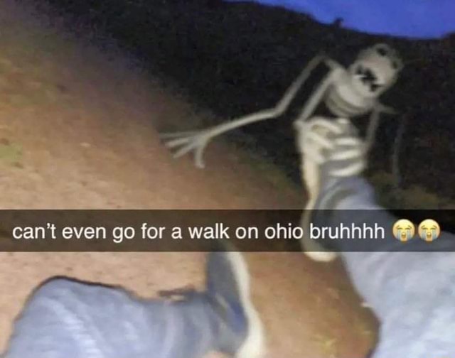 Can't even go for a walk on ohio bruhhhh - iFunny Can't even go for a walk on ohio bruhhhh - iFunny