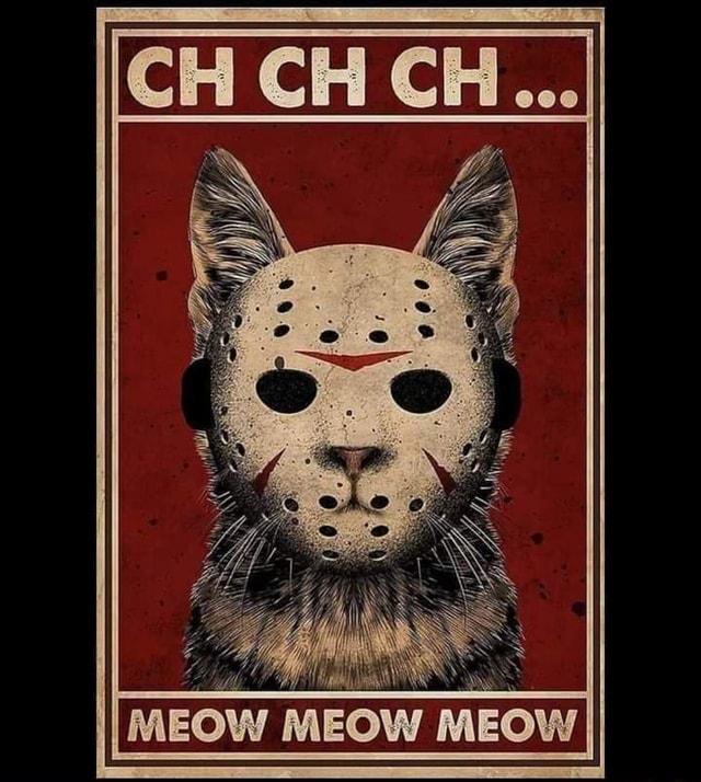 Scariest movie i've ever seen - MEOW MEOW MEOW - America’s best pics ...